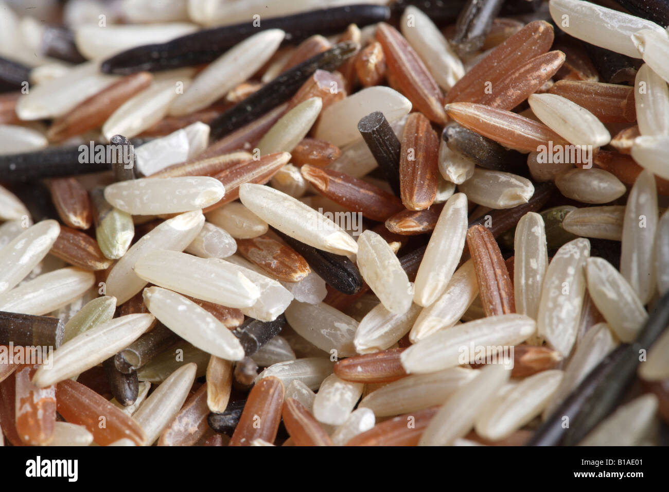 Long grain rices hi-res stock photography and images - Alamy