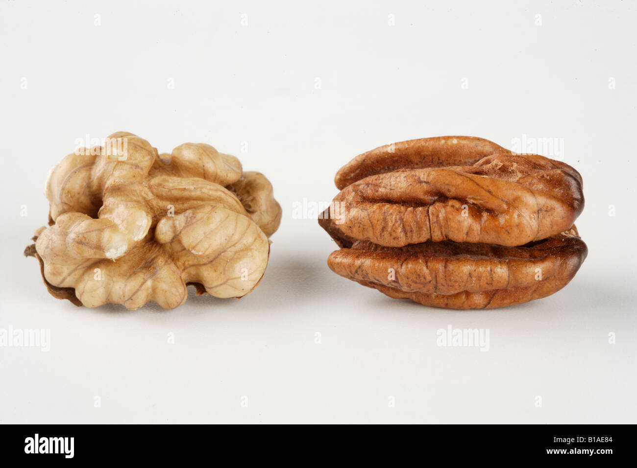 Varieties of nut hi-res stock photography and images - Alamy