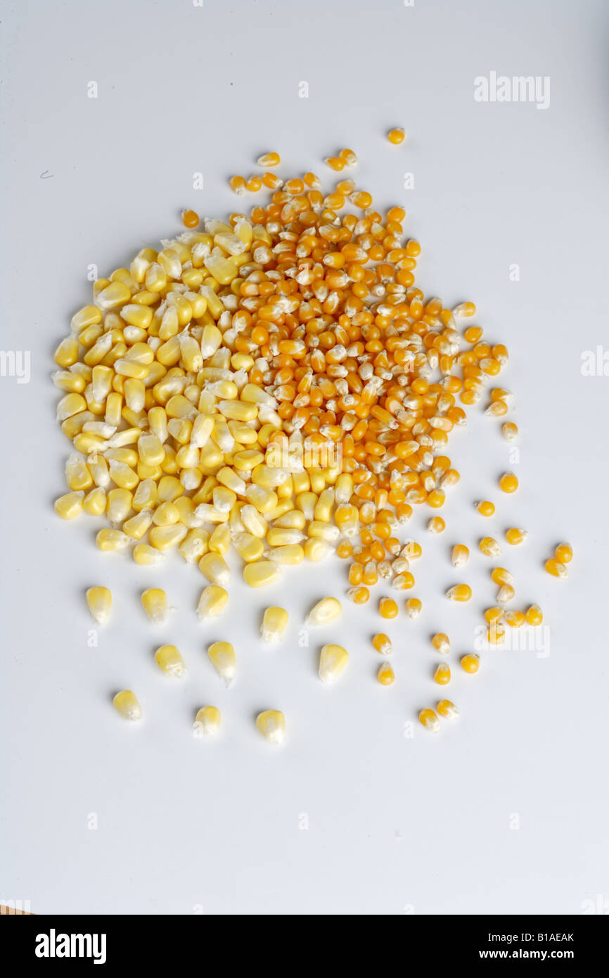 Tender and dry corn (zhenital, vertical Stock Photo - Alamy