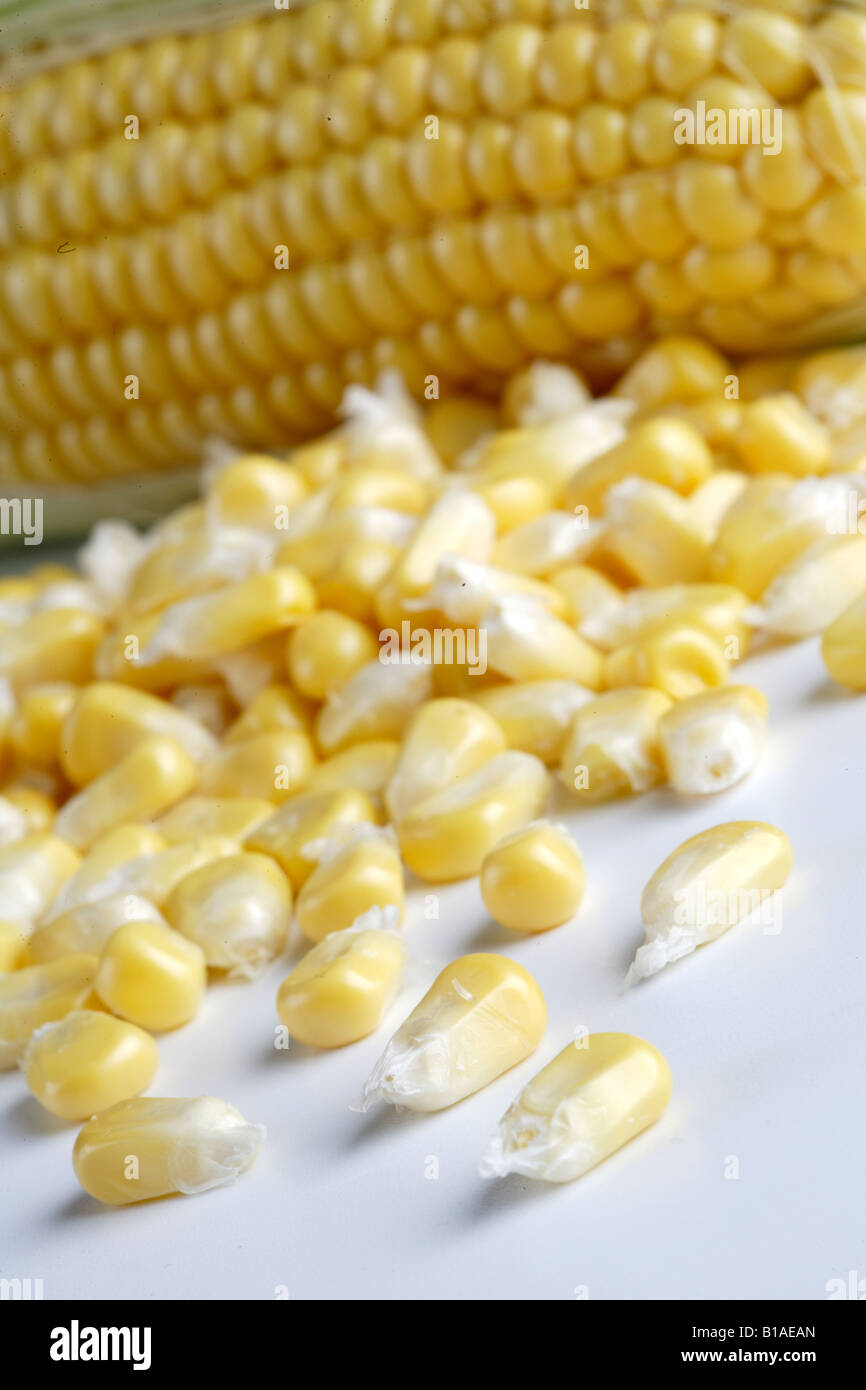 Tender corn (vertical Stock Photo - Alamy