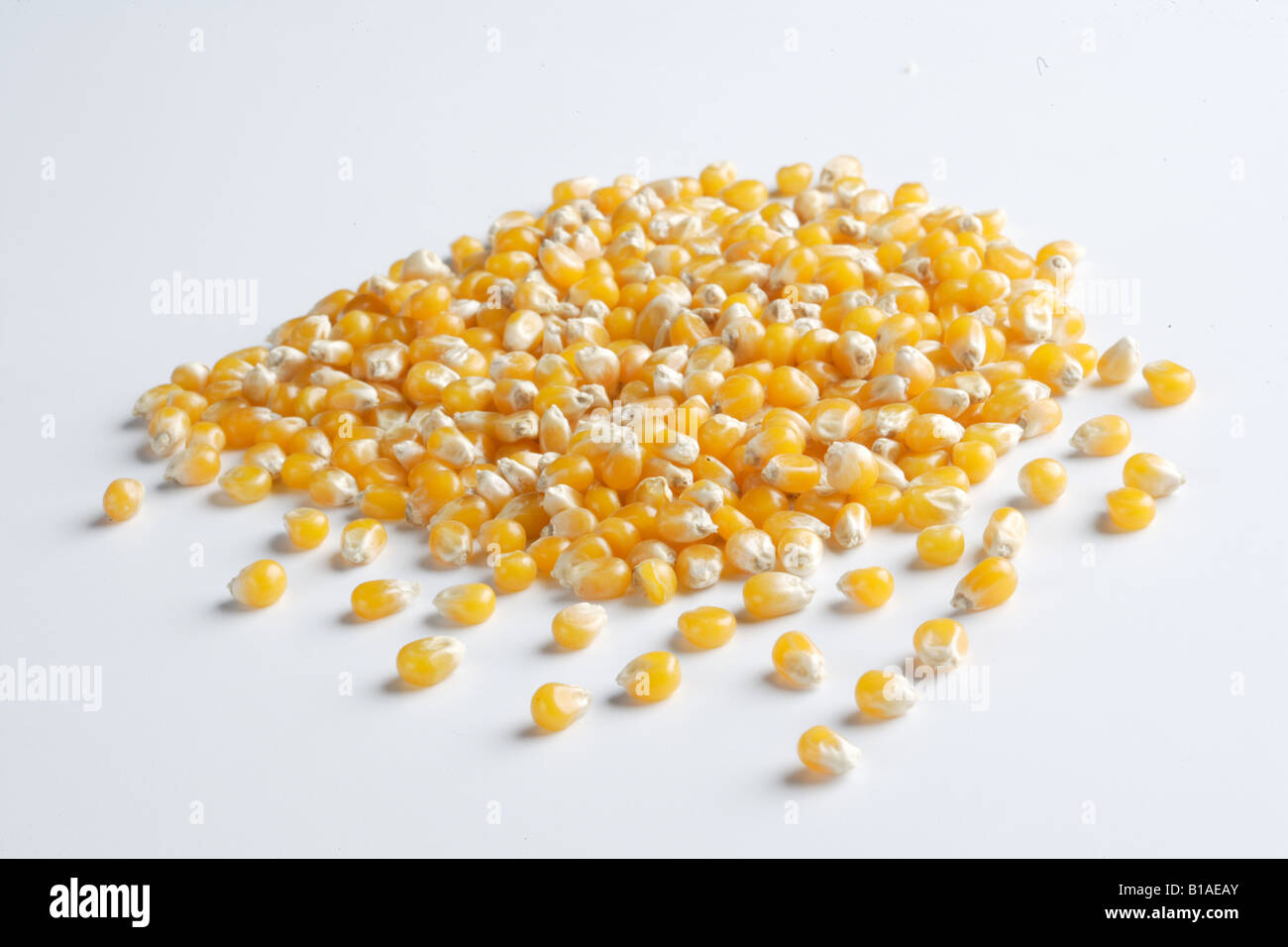 Dried corn grains hi-res stock photography and images - Alamy