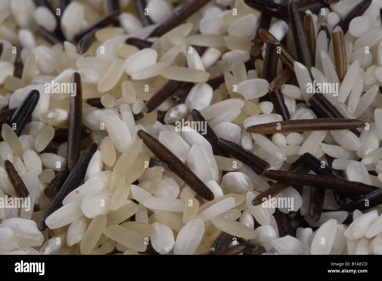 Close-up of rice varieties Stock Photo - Alamy