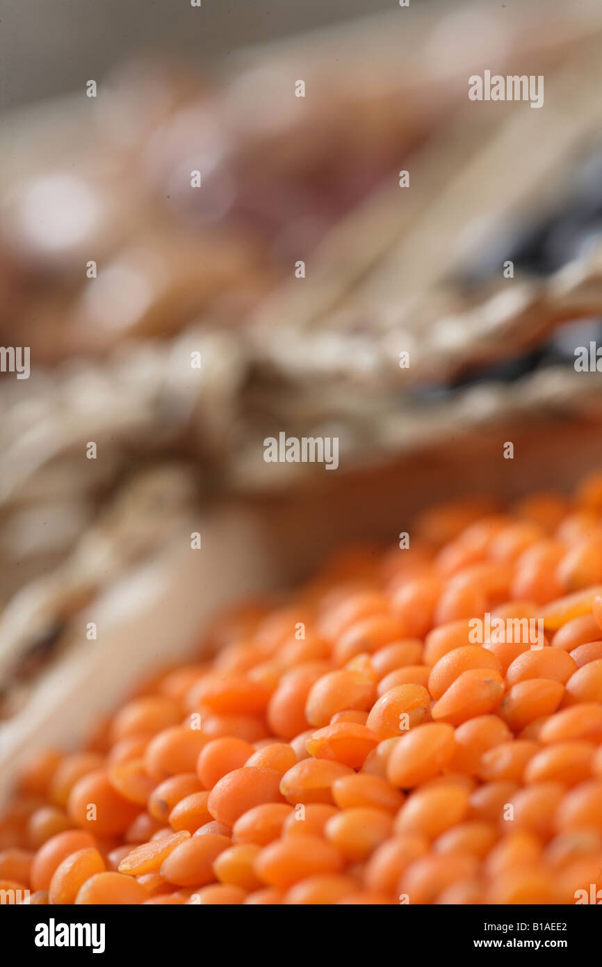 Close-up of orange lentils (vertical Stock Photo - Alamy