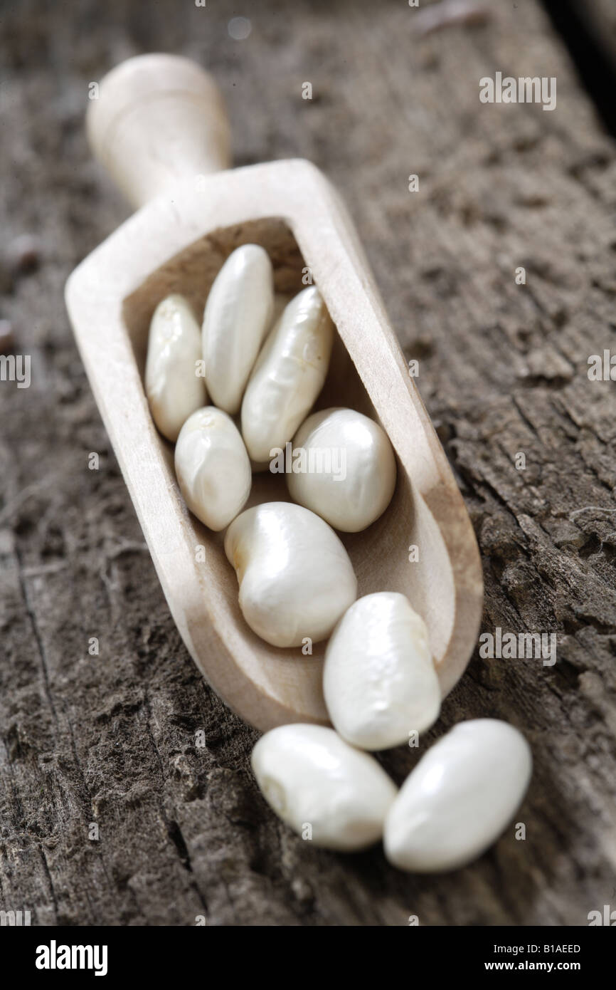 Butter beans (vertical Stock Photo - Alamy