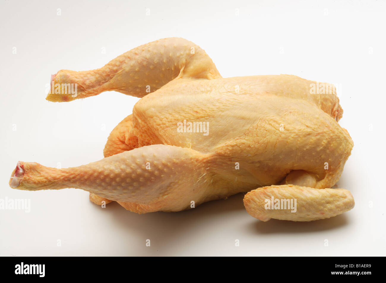 Fresh fowl chicken Stock Photo - Alamy