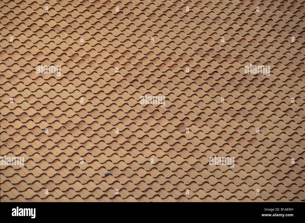 Dense patterns hi-res stock photography and images - Alamy