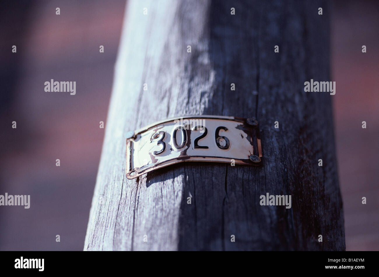 Three wood poles hi-res stock photography and images - Alamy