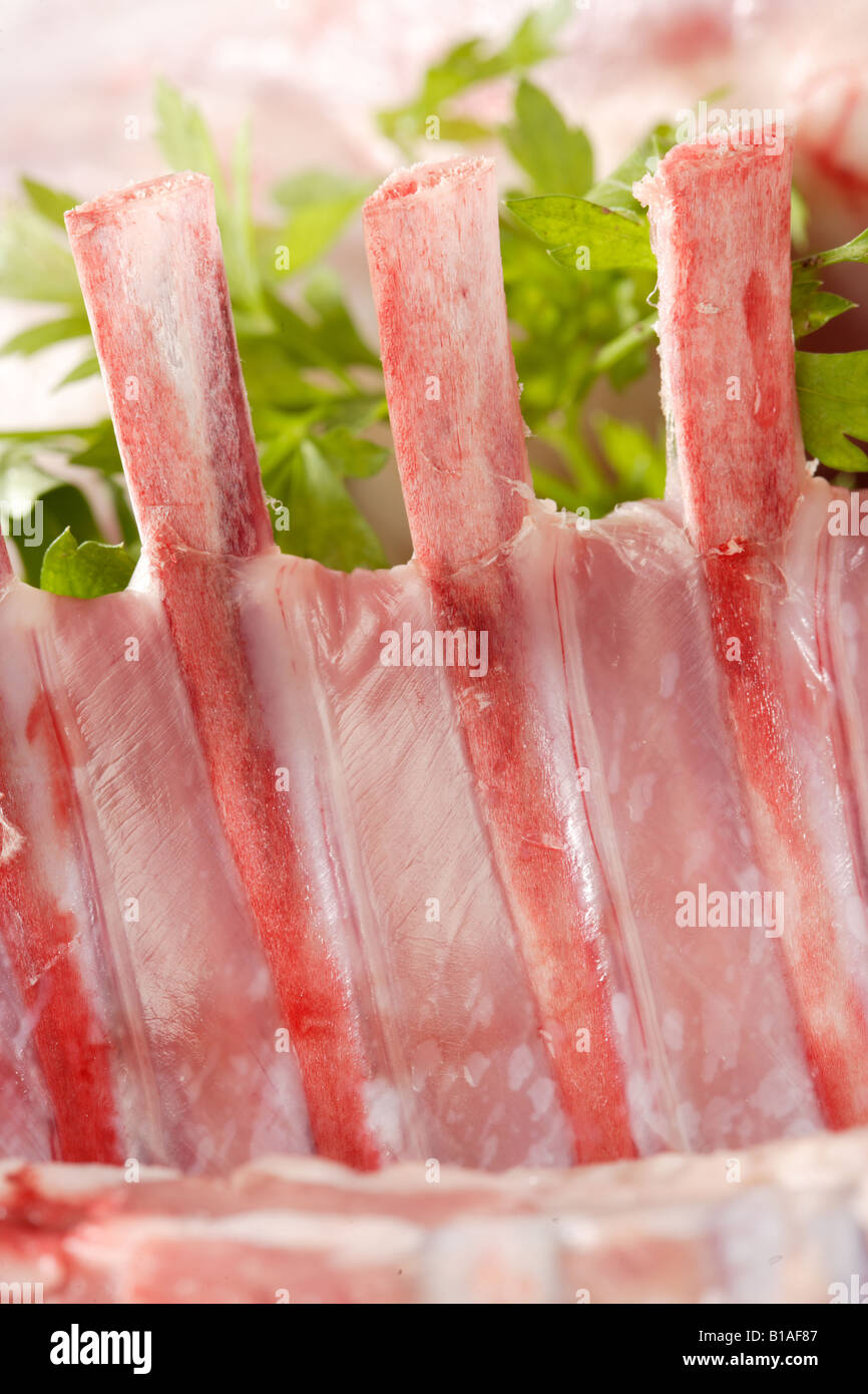 R lamb up hi-res stock photography and images - Alamy