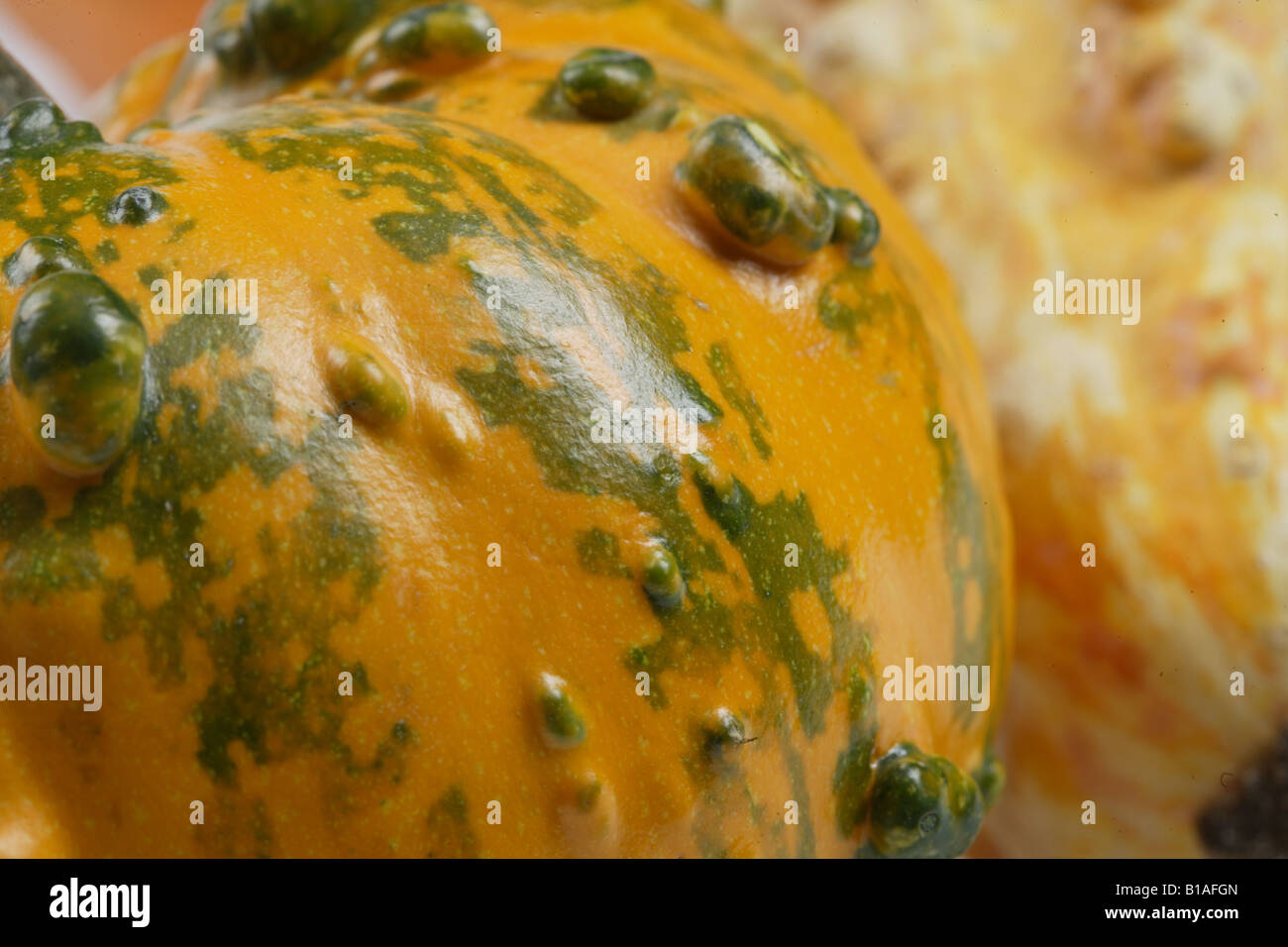 Pumkin skin close up Stock Photo - Alamy