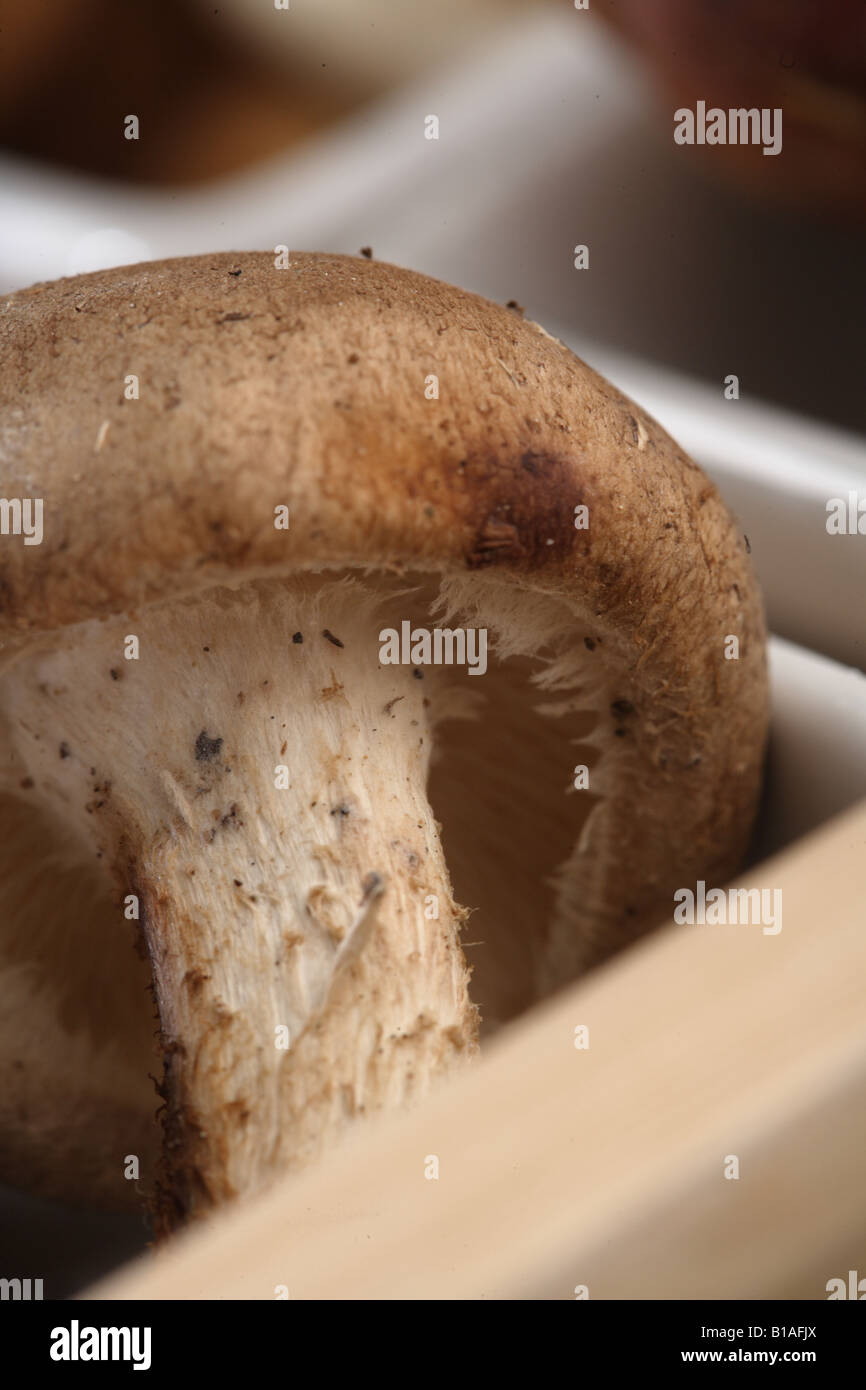 Food shiitake mushrooms hi-res stock photography and images - Alamy