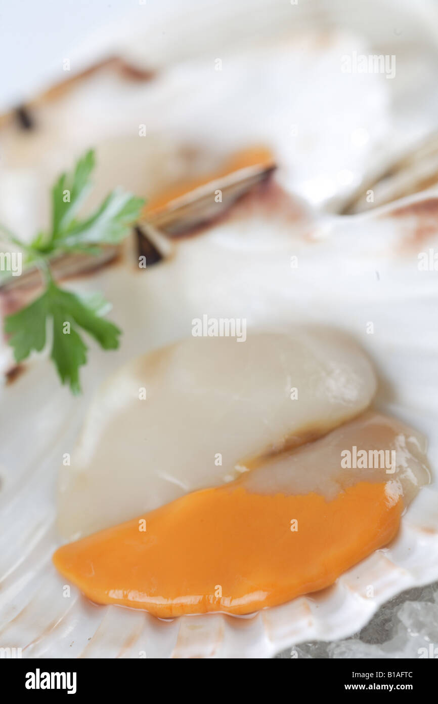 Ice scallop hi-res stock photography and images - Alamy