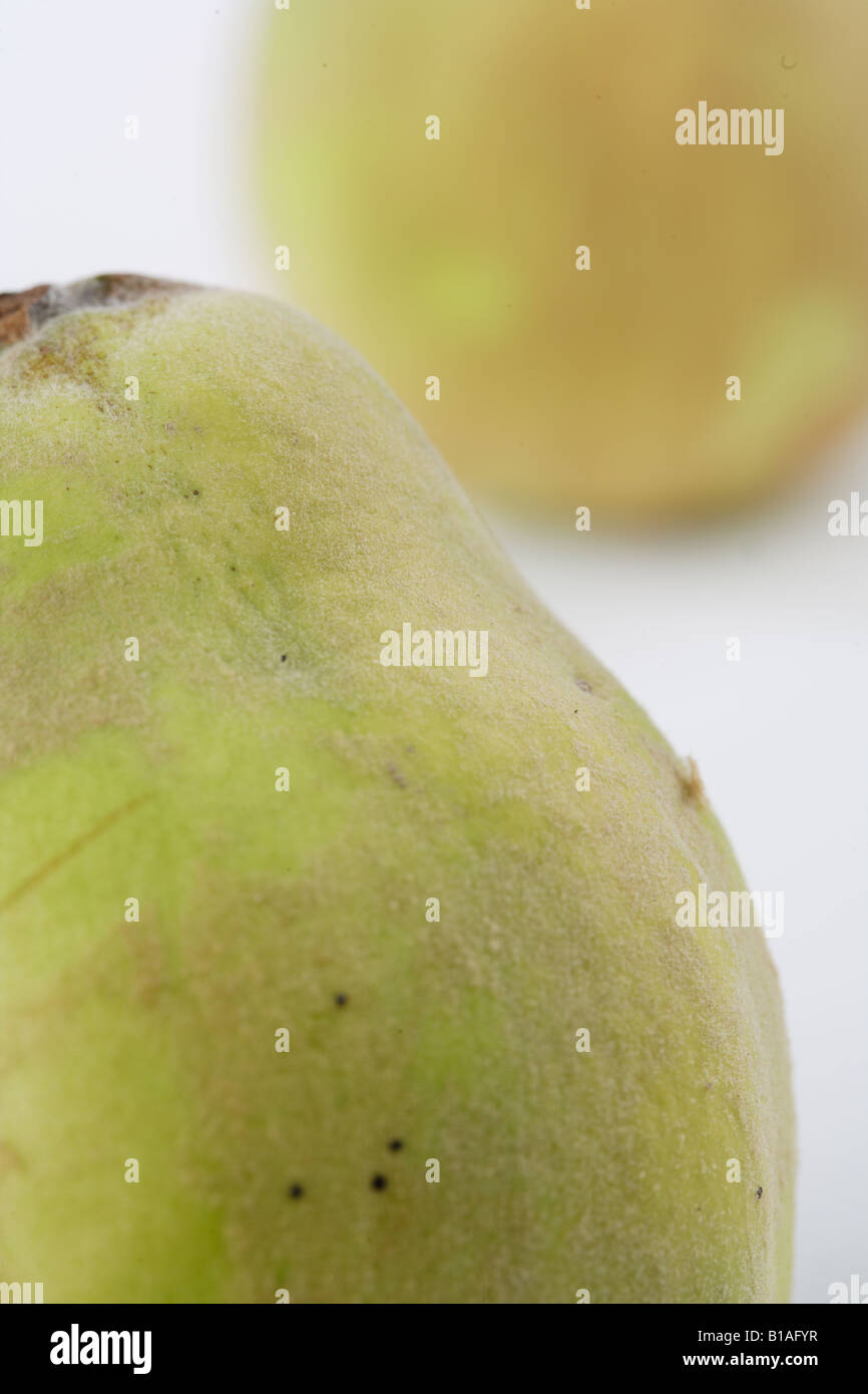 Quince close up Stock Photo - Alamy