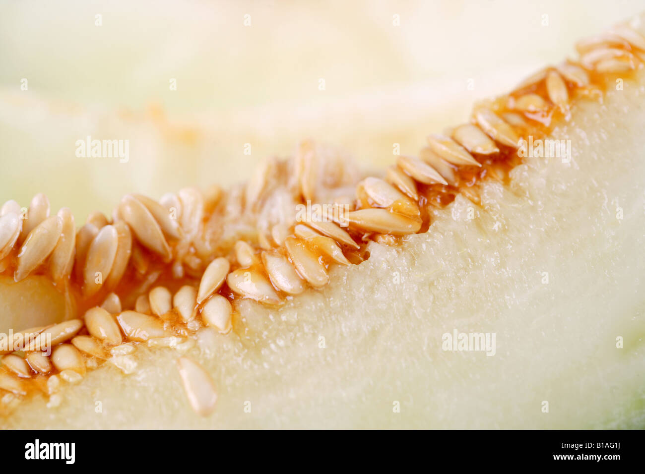 Slice of melon close up Stock Photo - Alamy