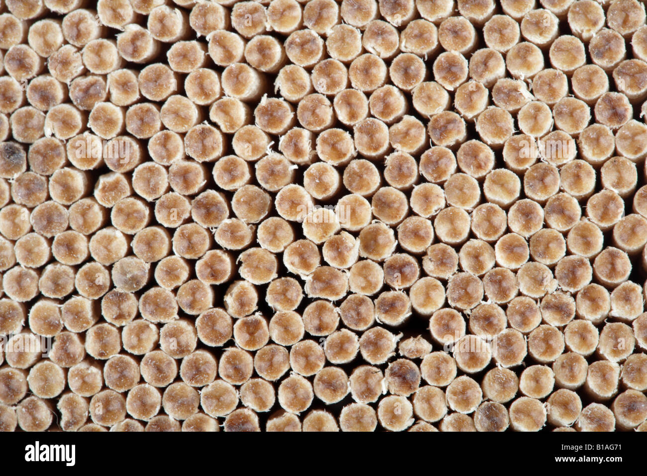 Toothpicks close up Stock Photo - Alamy