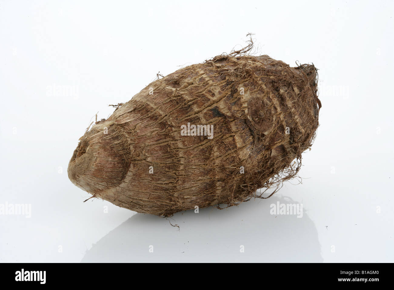Eddo hi-res stock photography and images - Alamy