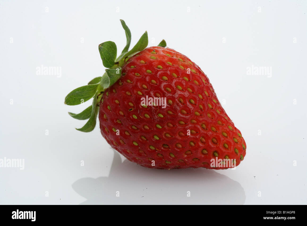 One large hi-res stock photography and images - Alamy