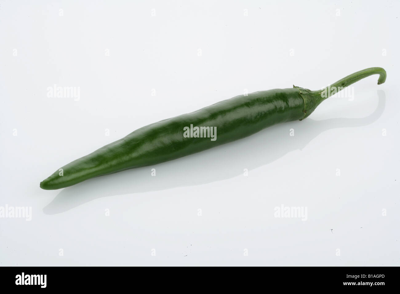Fresh jalapeño jalapeno chili Stock Photo - Alamy