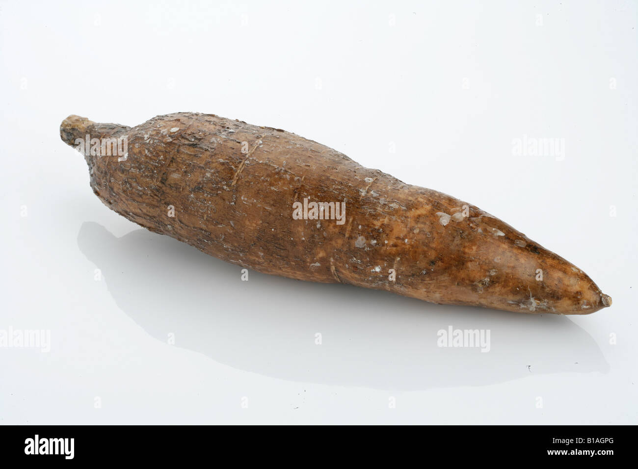 Yuca tapioca mandioca manihot Stock Photo - Alamy