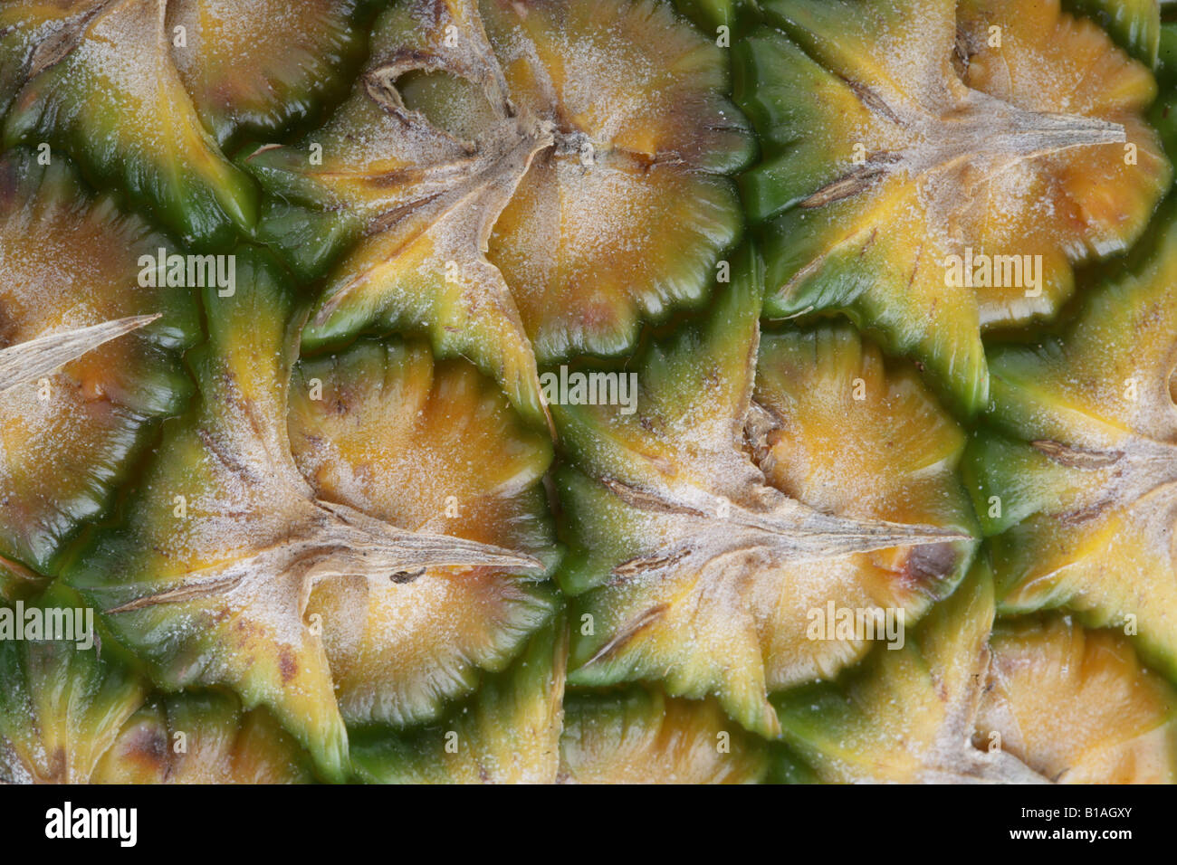 Pineapple close up Stock Photo - Alamy