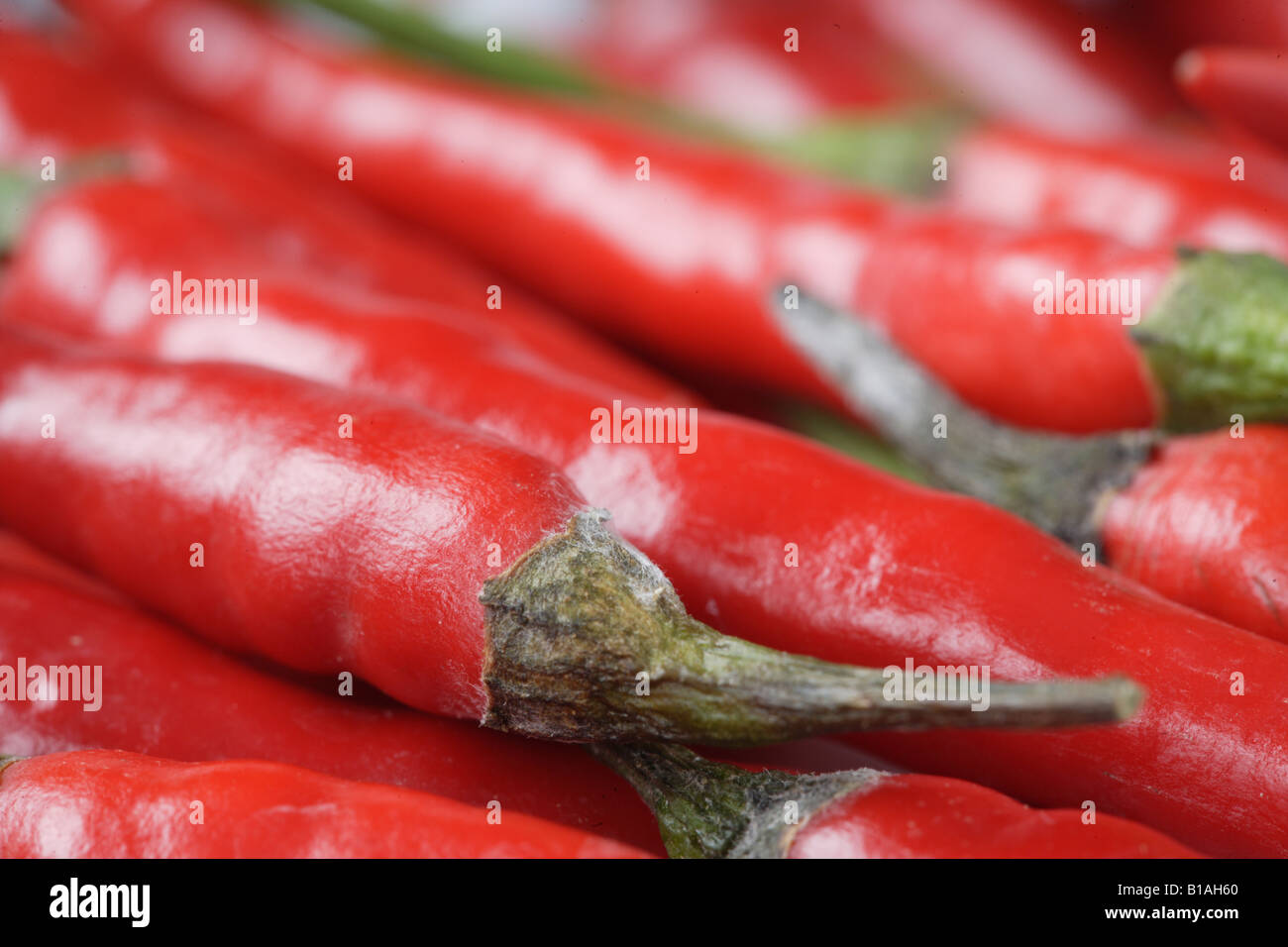 Red chili peppers Stock Photo - Alamy