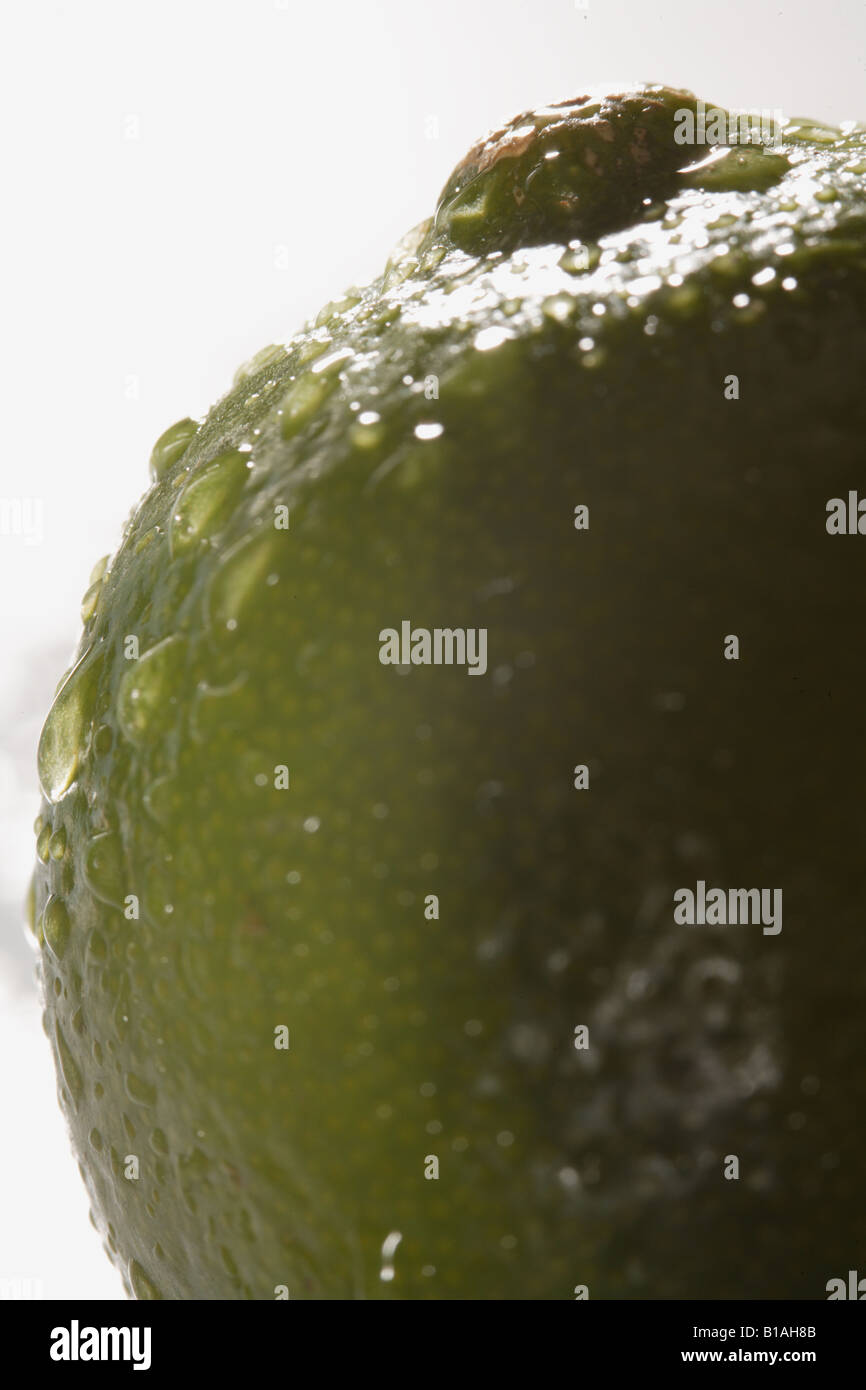 A lime cut texture close up Stock Photo - Alamy