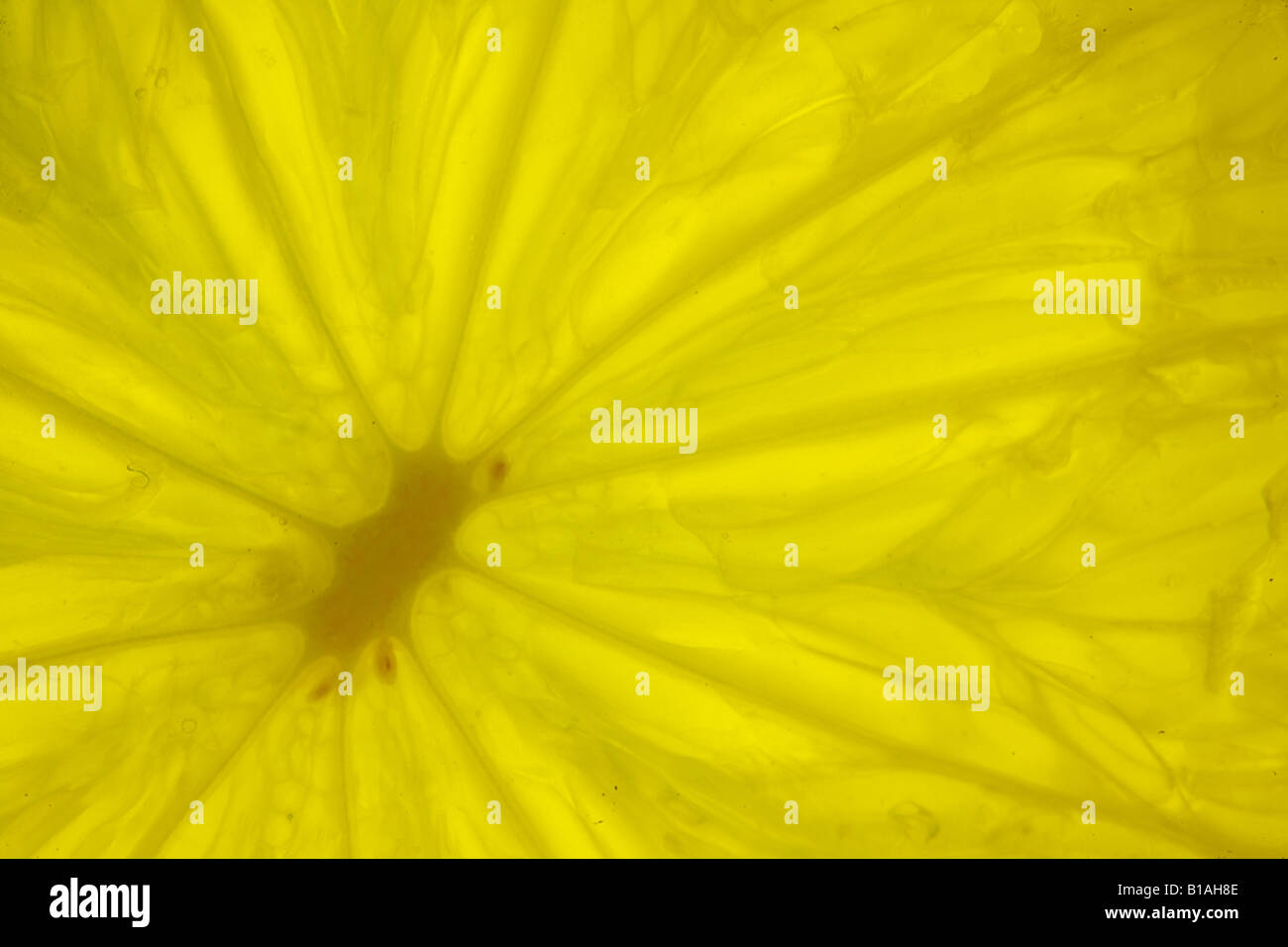 A lime cut texture close up Stock Photo - Alamy