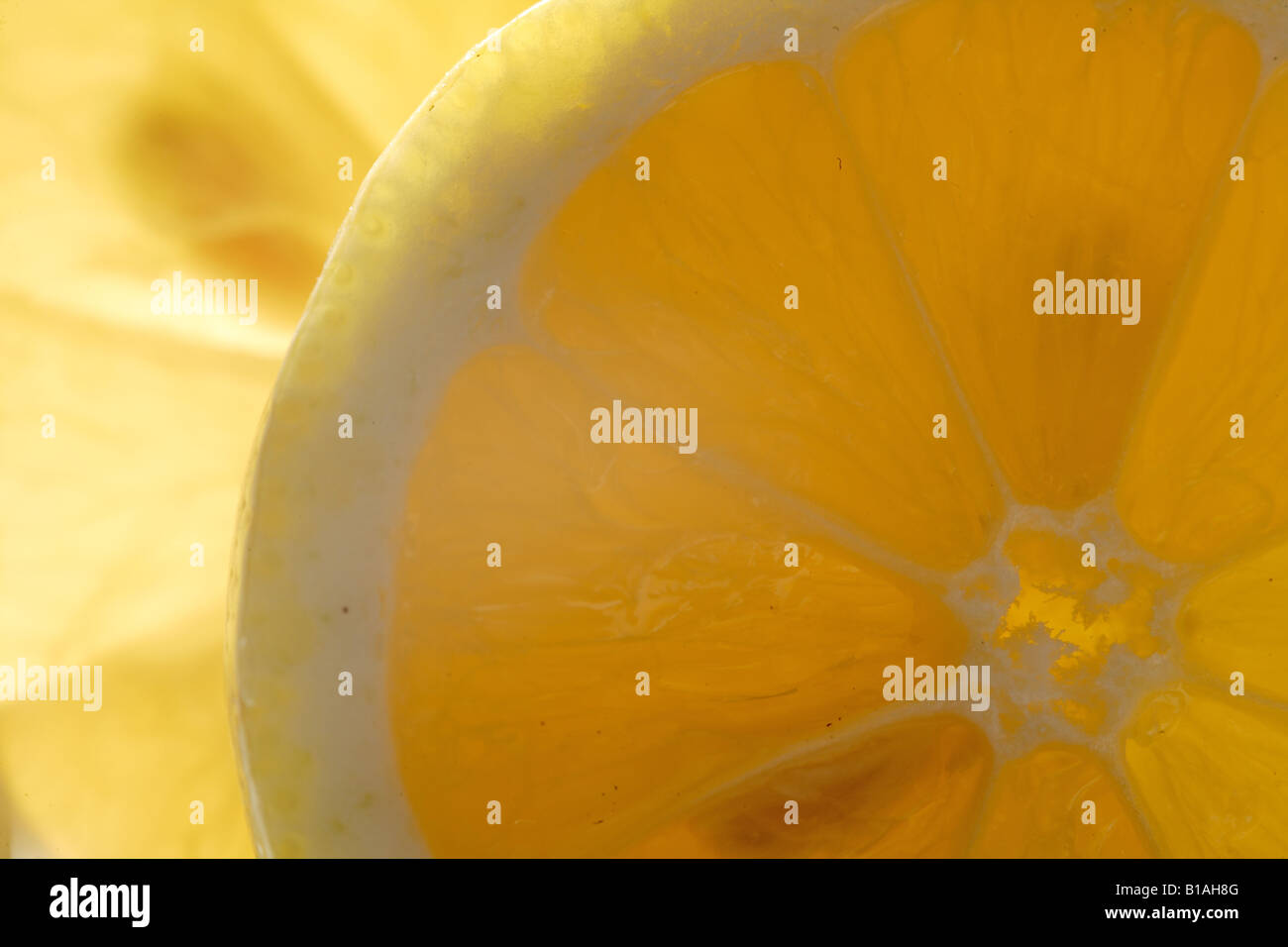 A slice of lemon close up Stock Photo - Alamy