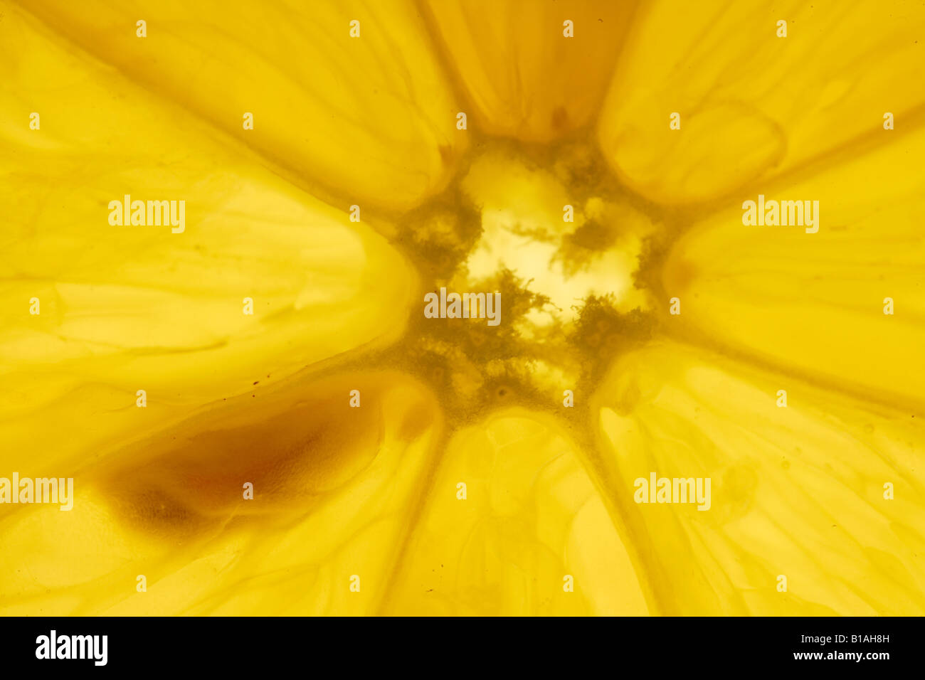 A lemon cut close up Stock Photo - Alamy