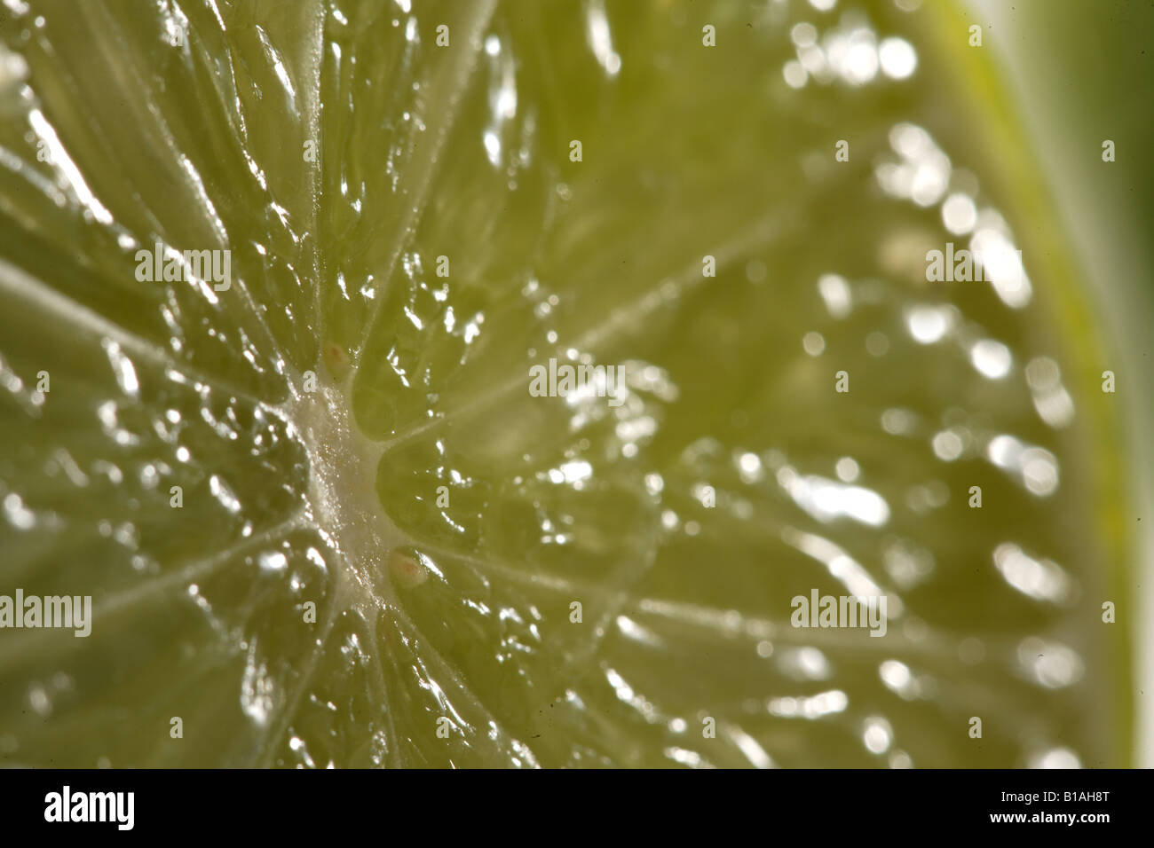A lime cut close up Stock Photo - Alamy