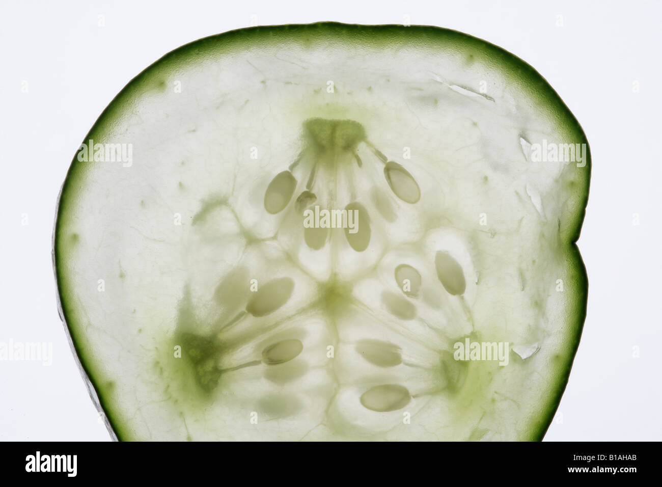 Cucumber slices close up hi-res stock photography and images - Alamy