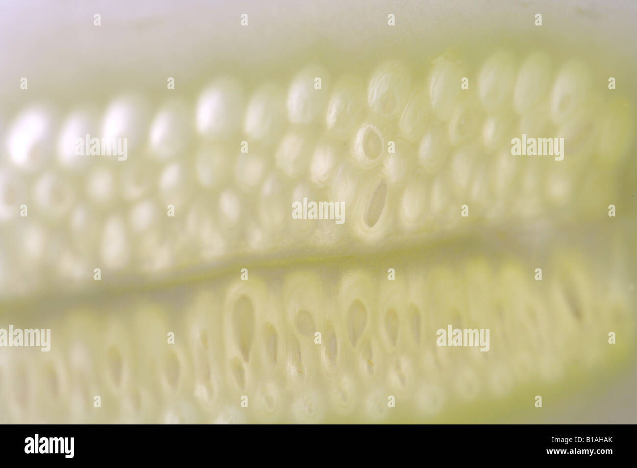 Chopped cucumber texture Stock Photo - Alamy