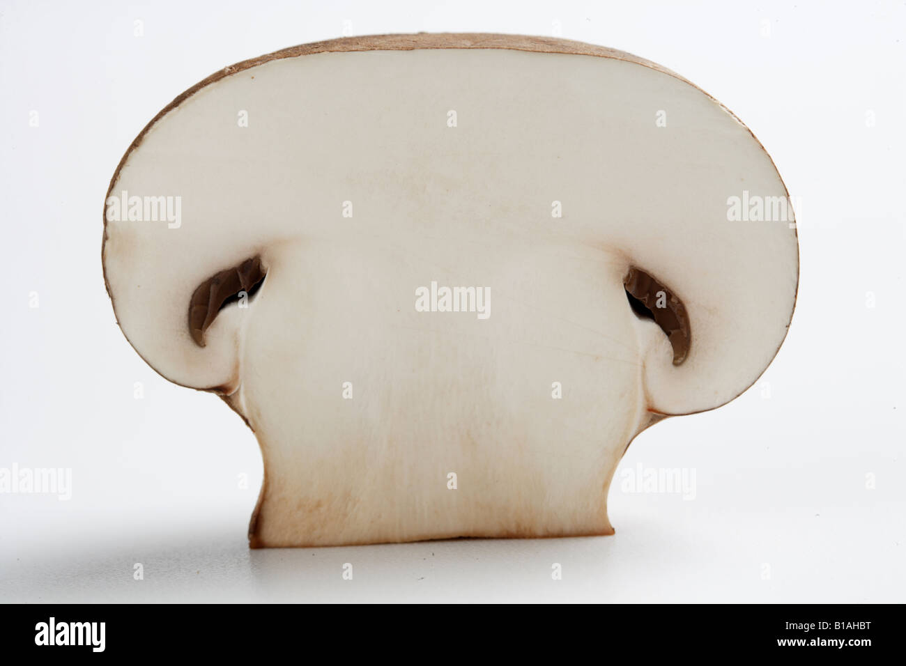 Mushroom cut in half Stock Photo - Alamy