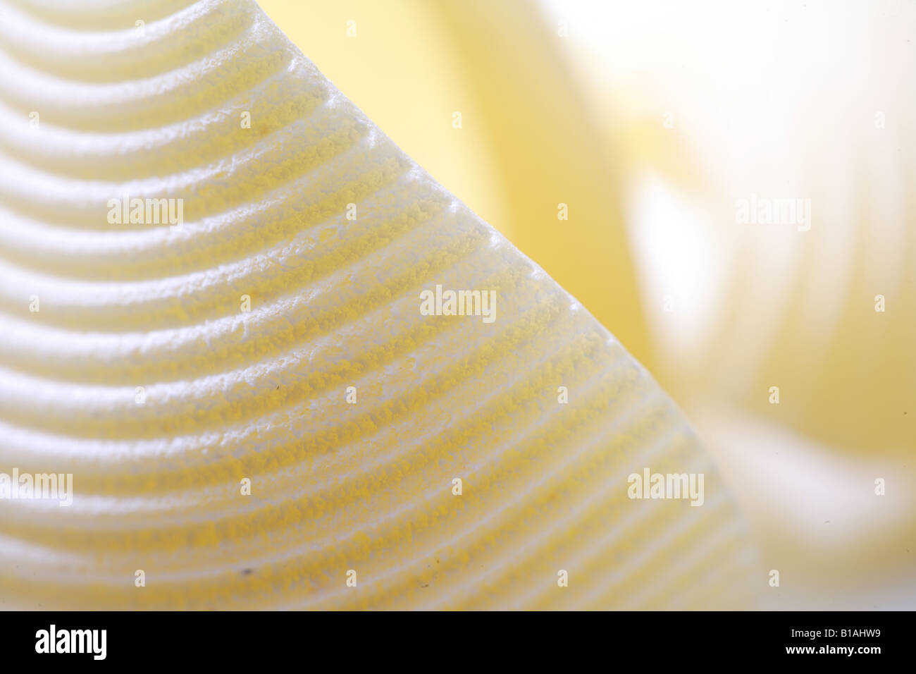 Lumaconi rigati pasta close up Stock Photo - Alamy