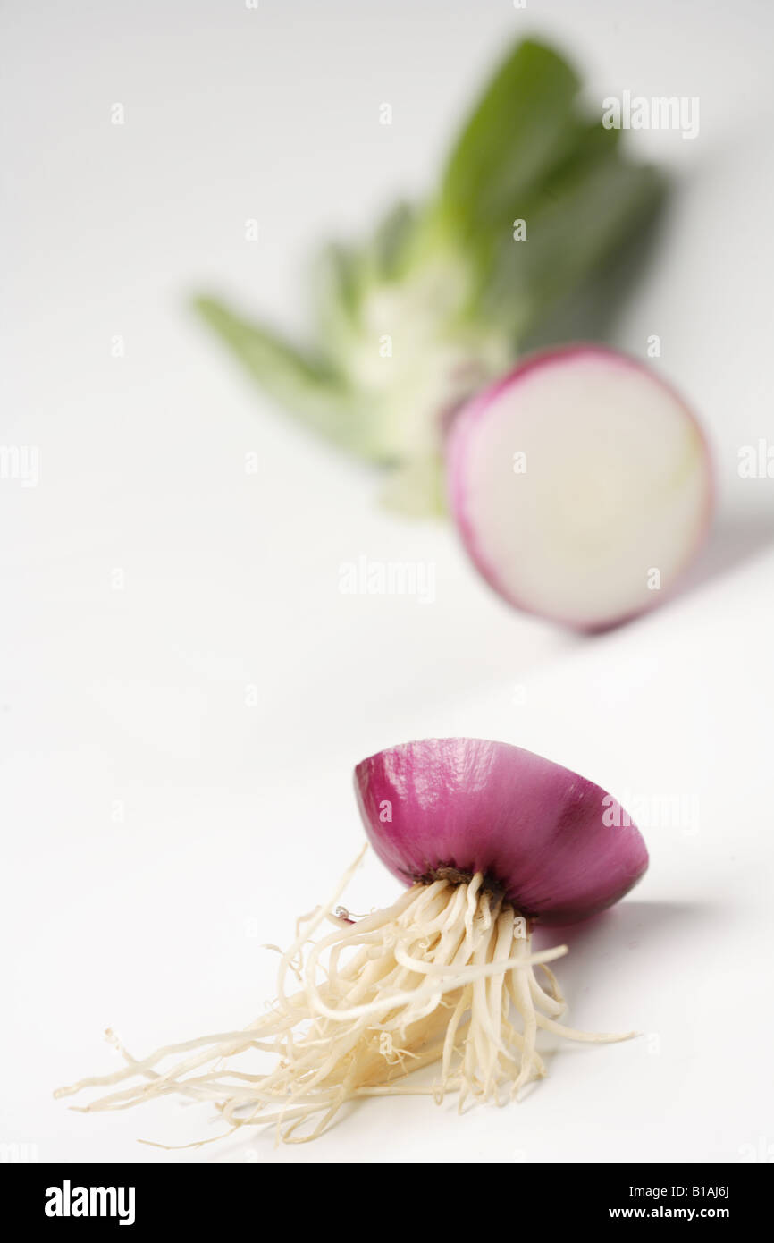 A red spring onion cut in half Stock Photo - Alamy