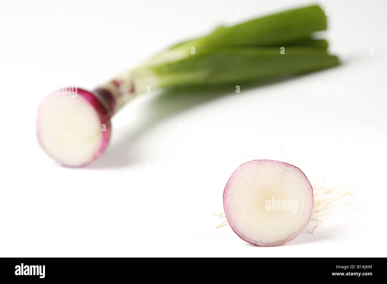A red spring onion cut in half Stock Photo - Alamy