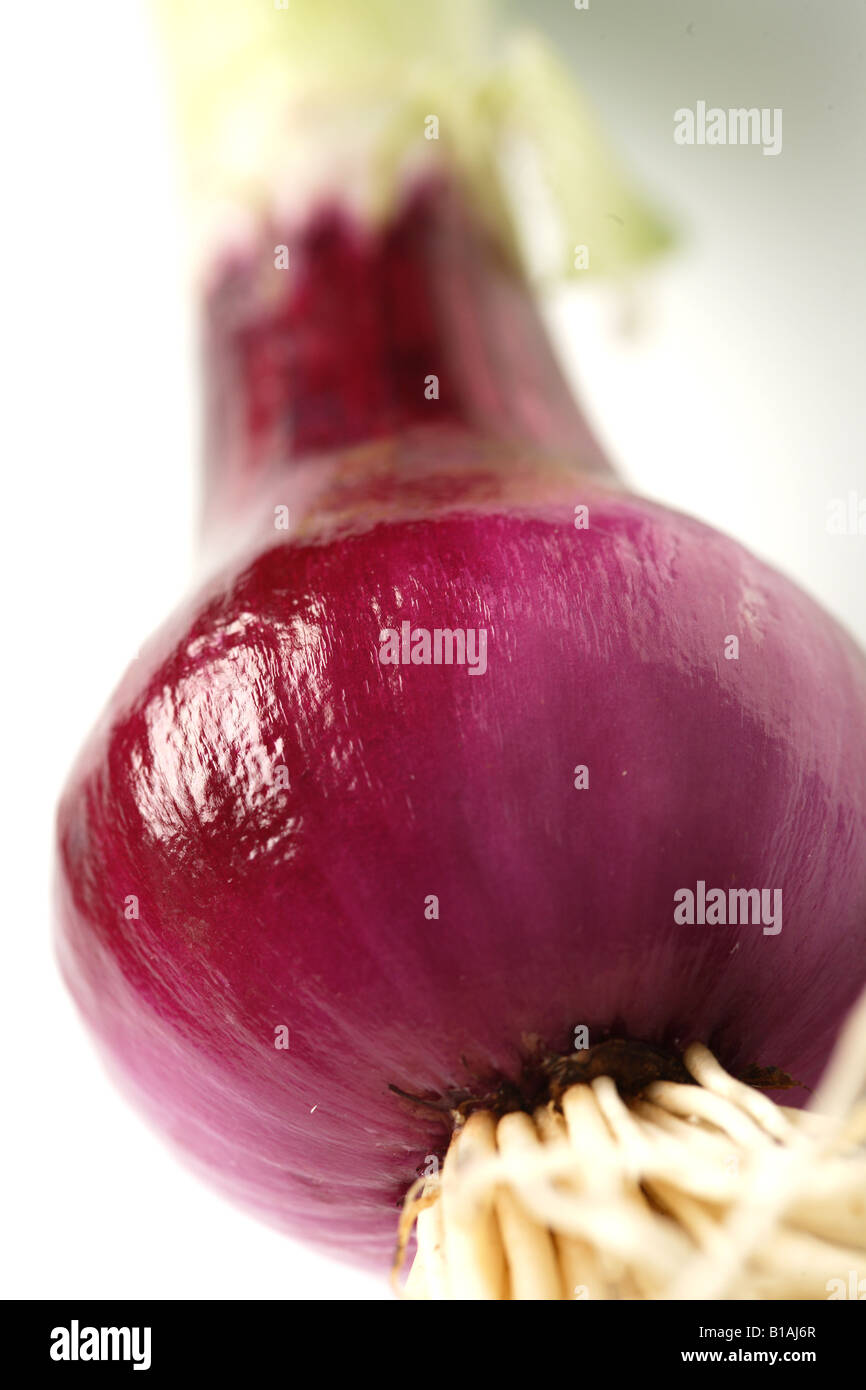 Red spring onion close up Stock Photo - Alamy