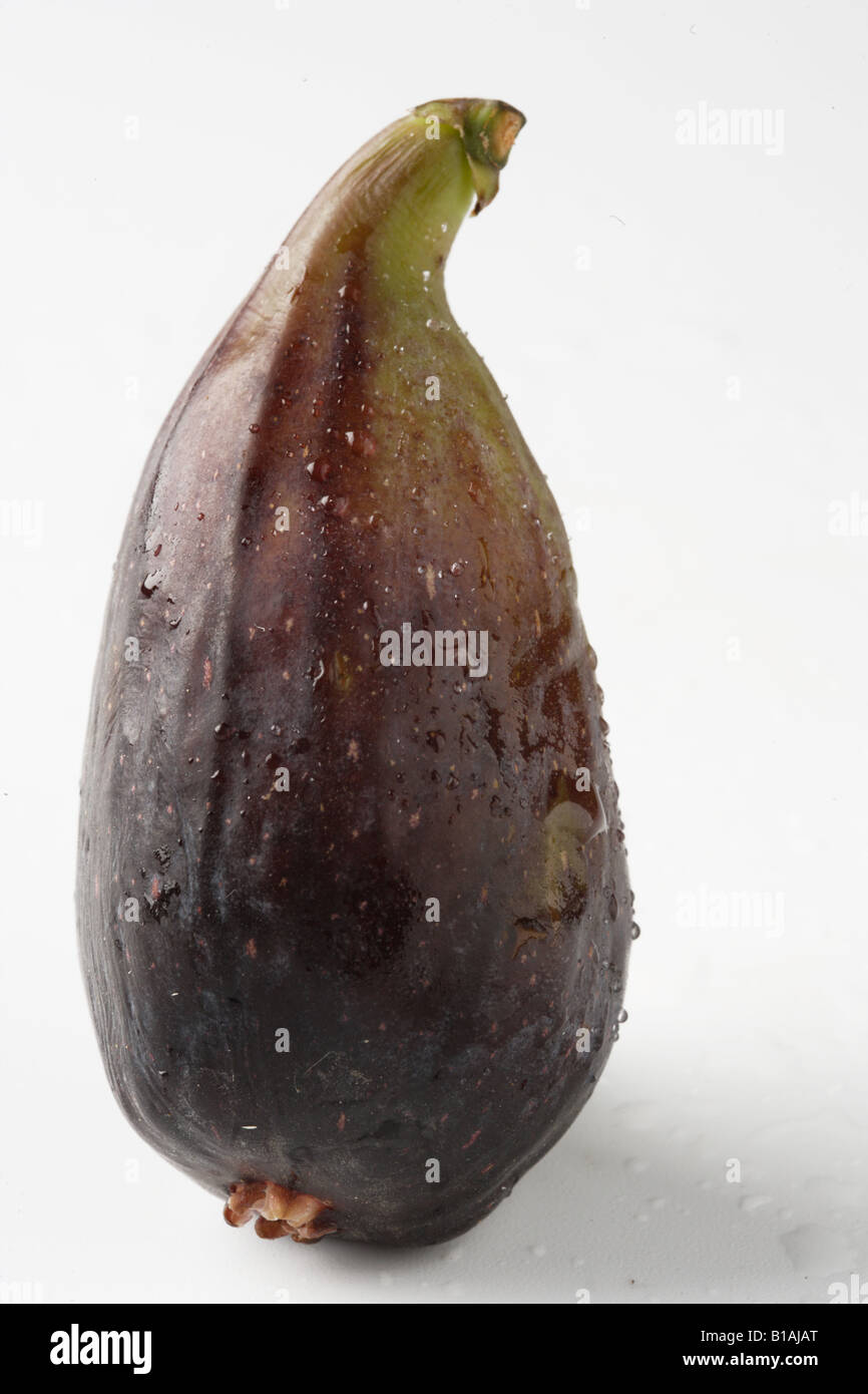 One early fig Stock Photo - Alamy