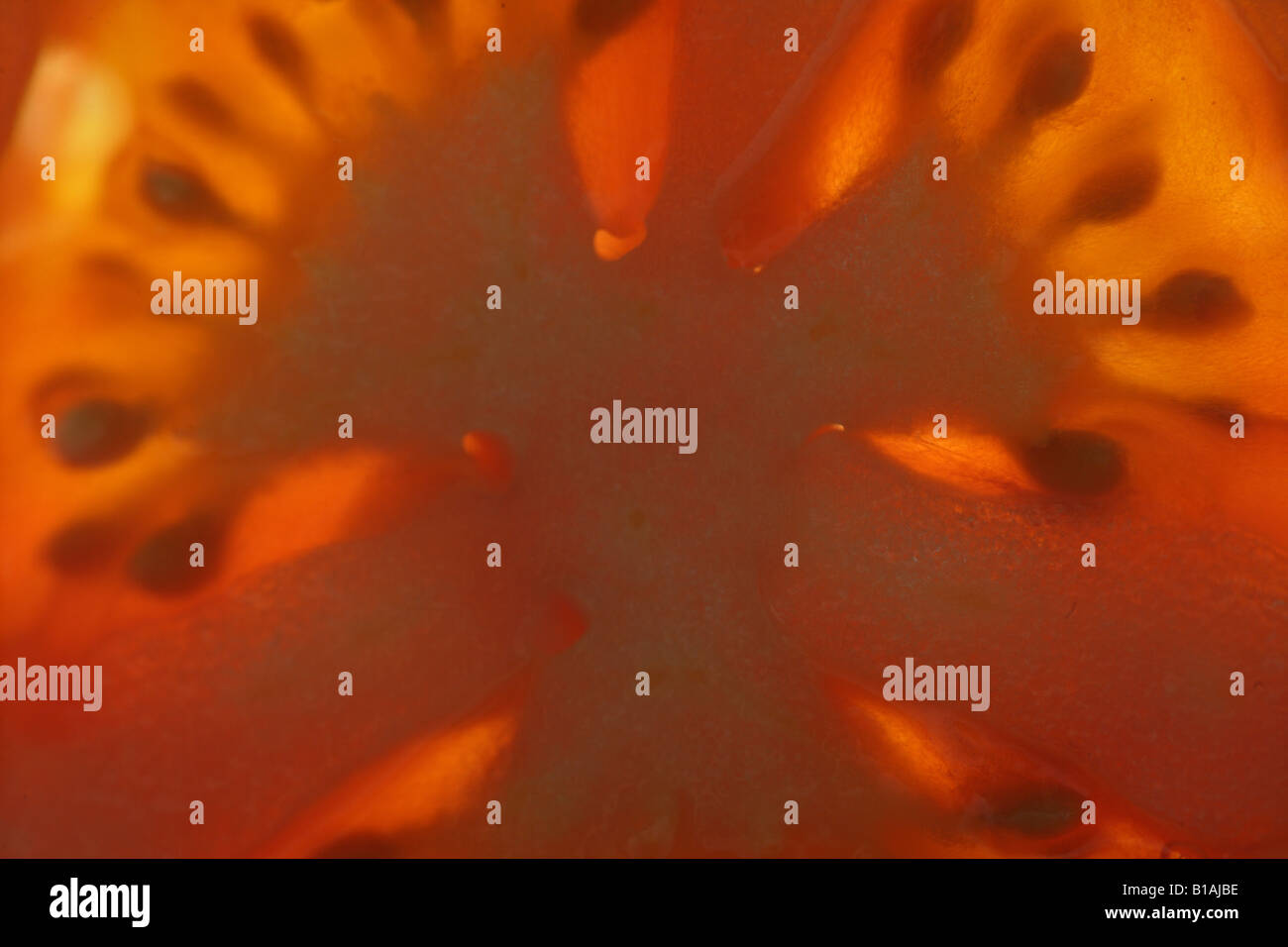 One slice of tomato texture Stock Photo - Alamy