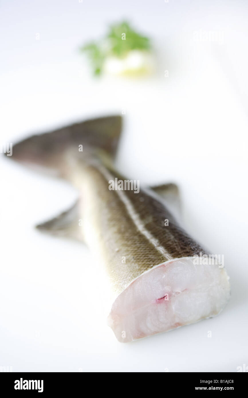 Fresh cod cut in half Stock Photo - Alamy