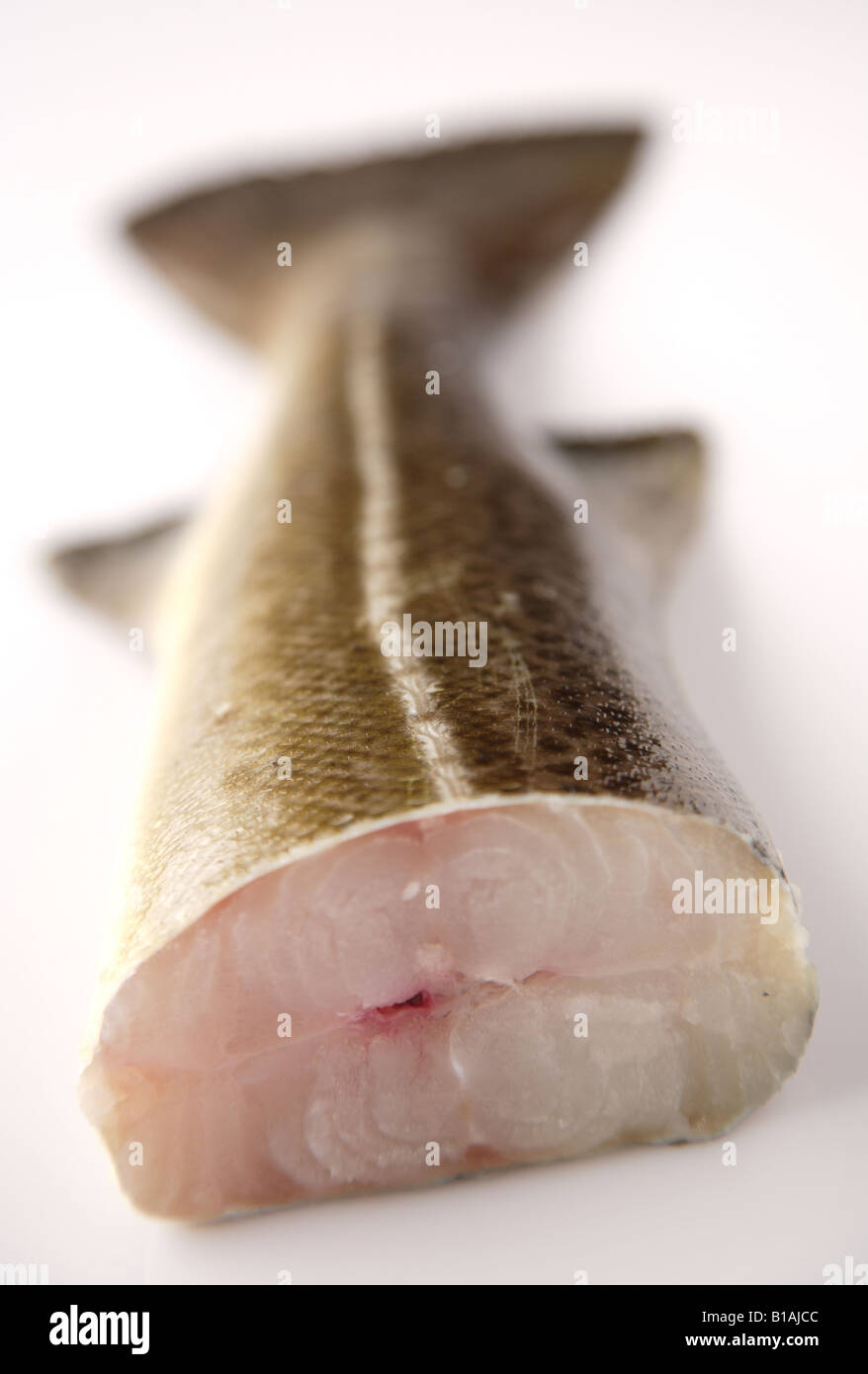 Fresh cod cut in half Stock Photo - Alamy