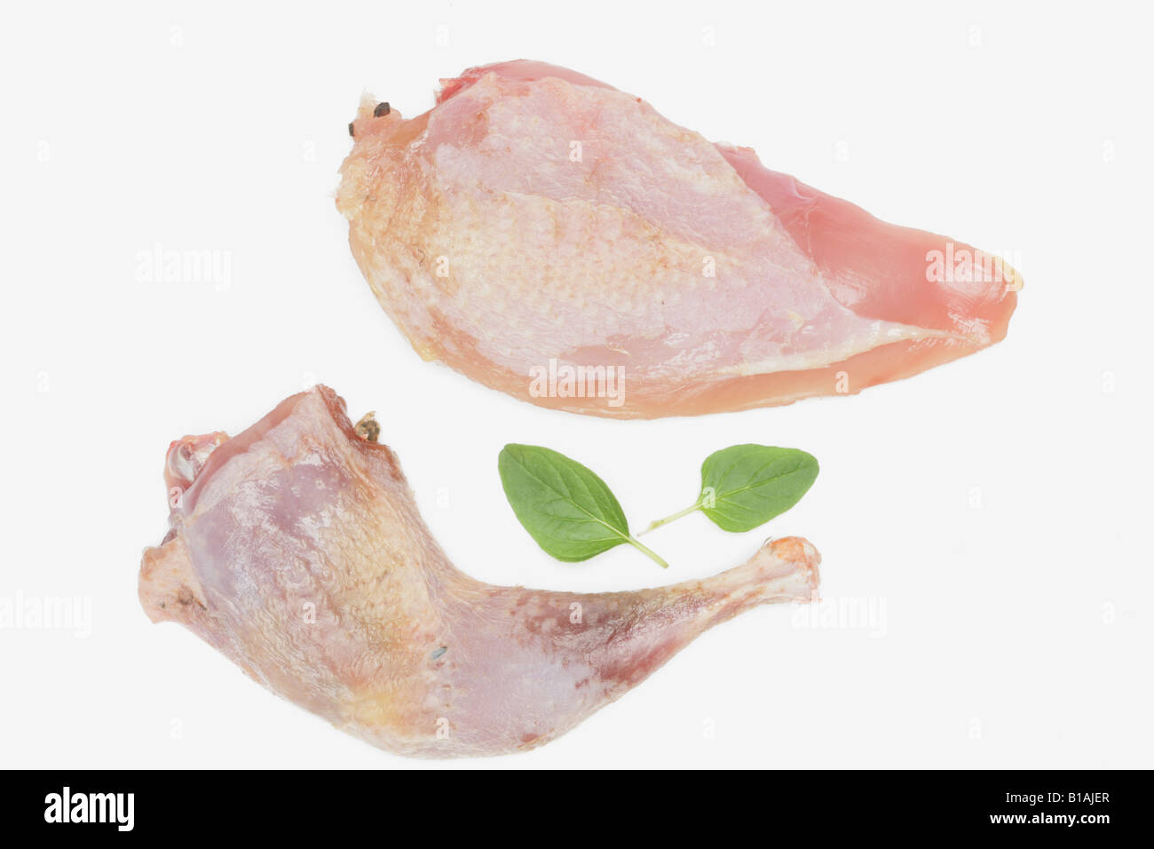 Partridge meat Cut Out Stock Images & Pictures - Alamy