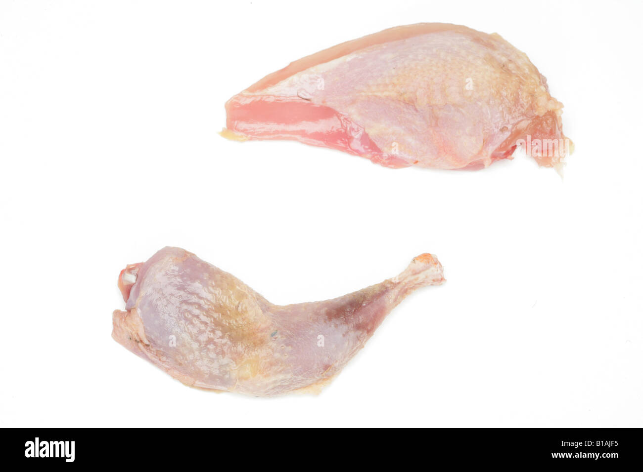 A raw partridge Stock Photo - Alamy