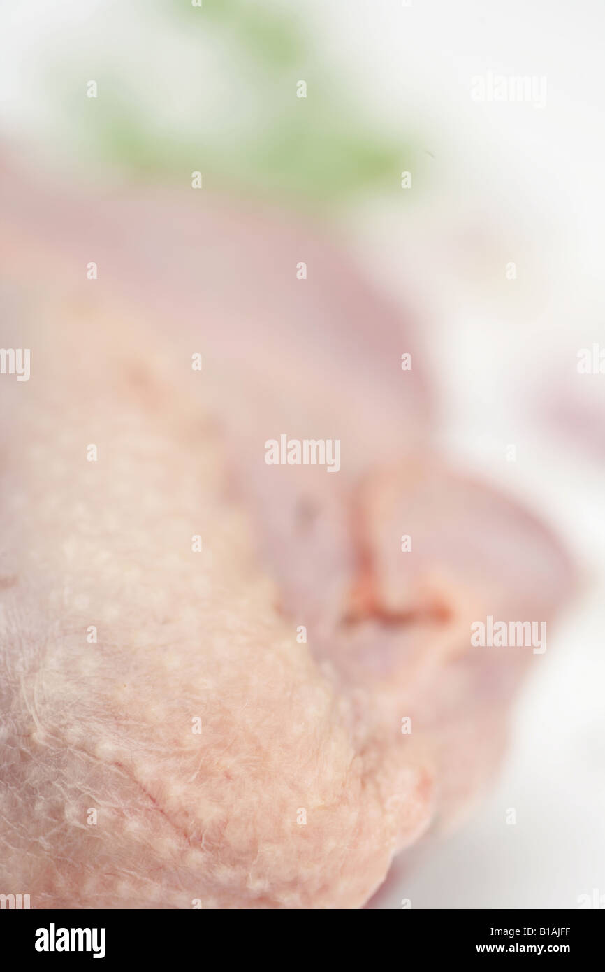 A raw quail close up Stock Photo - Alamy