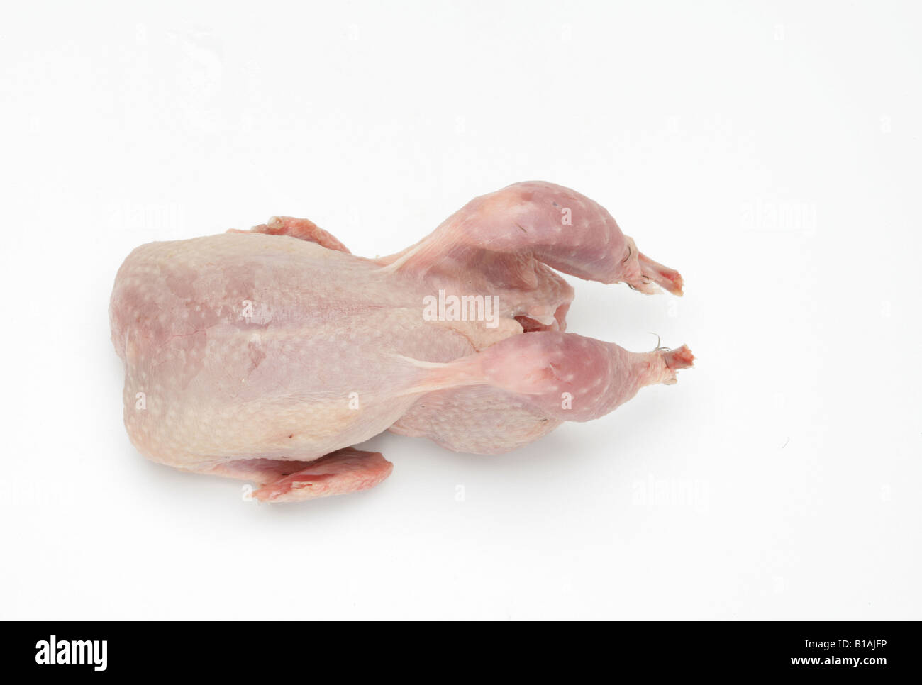A raw quail Stock Photo - Alamy
