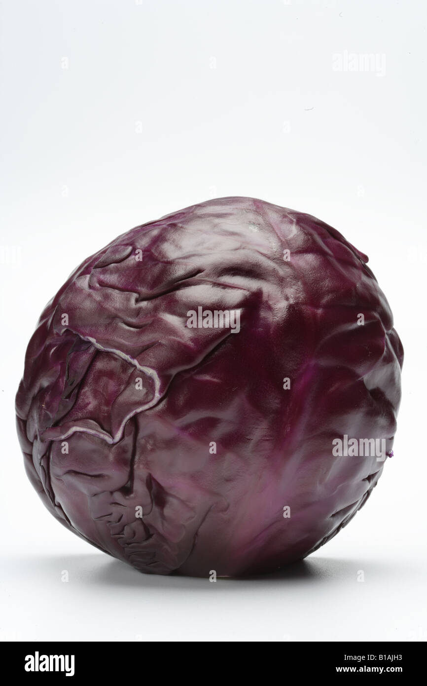 Red cabbage close up Stock Photo - Alamy