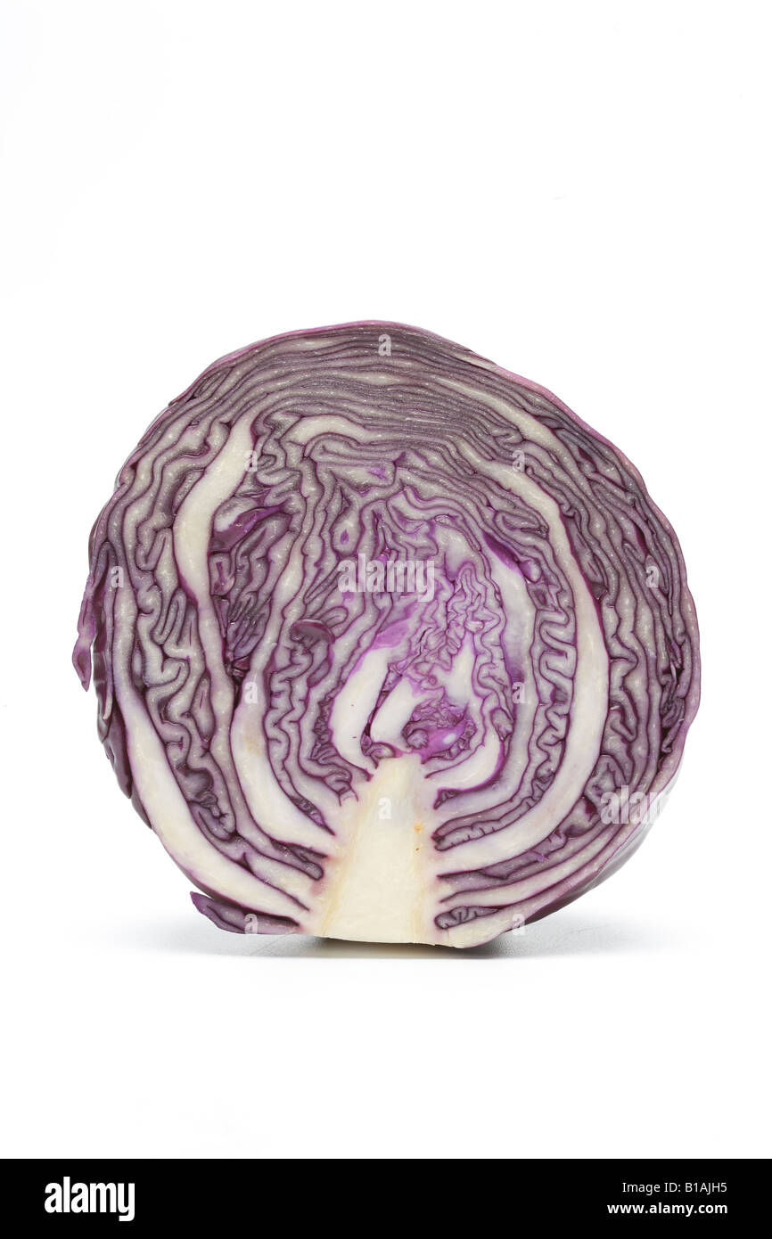 One red cabbage cut in half Stock Photo - Alamy