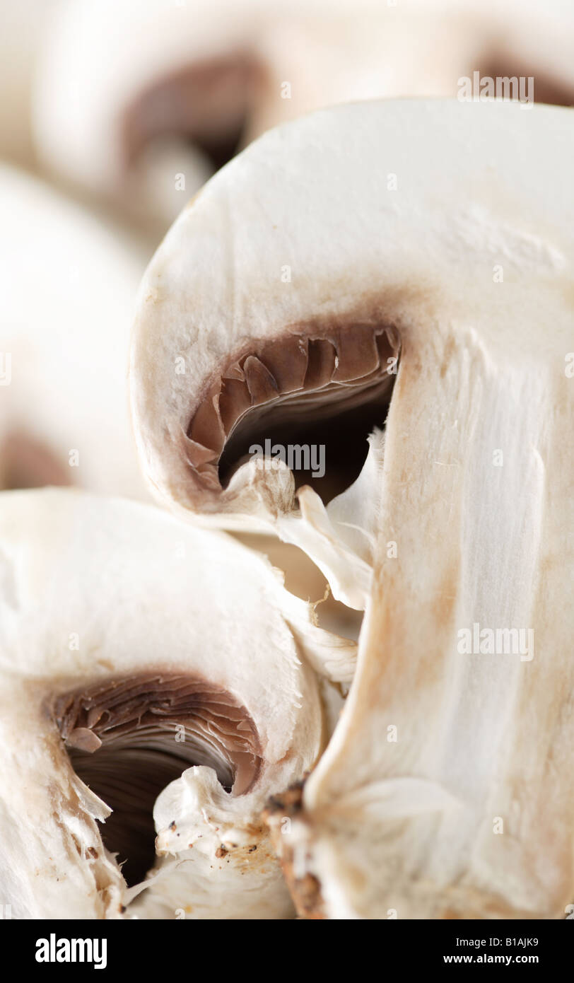 Mushroom cut in half Stock Photo - Alamy