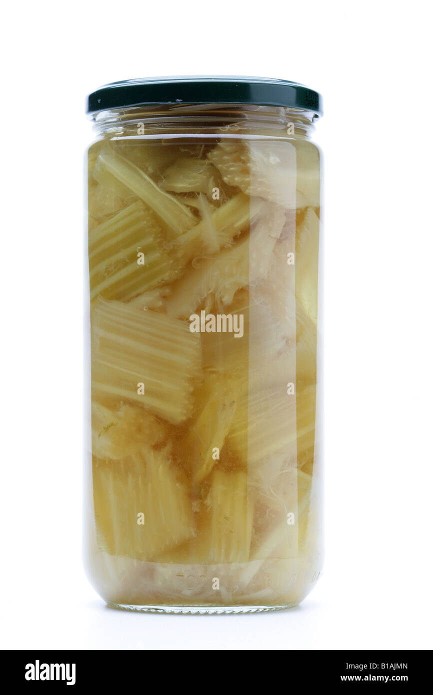 Cardoon Cut Out Stock Images & Pictures - Alamy