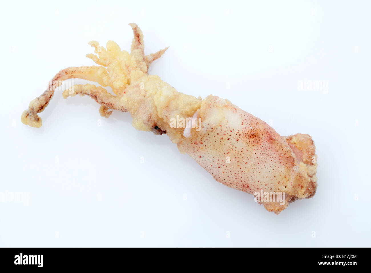 A fried small squid Stock Photo - Alamy