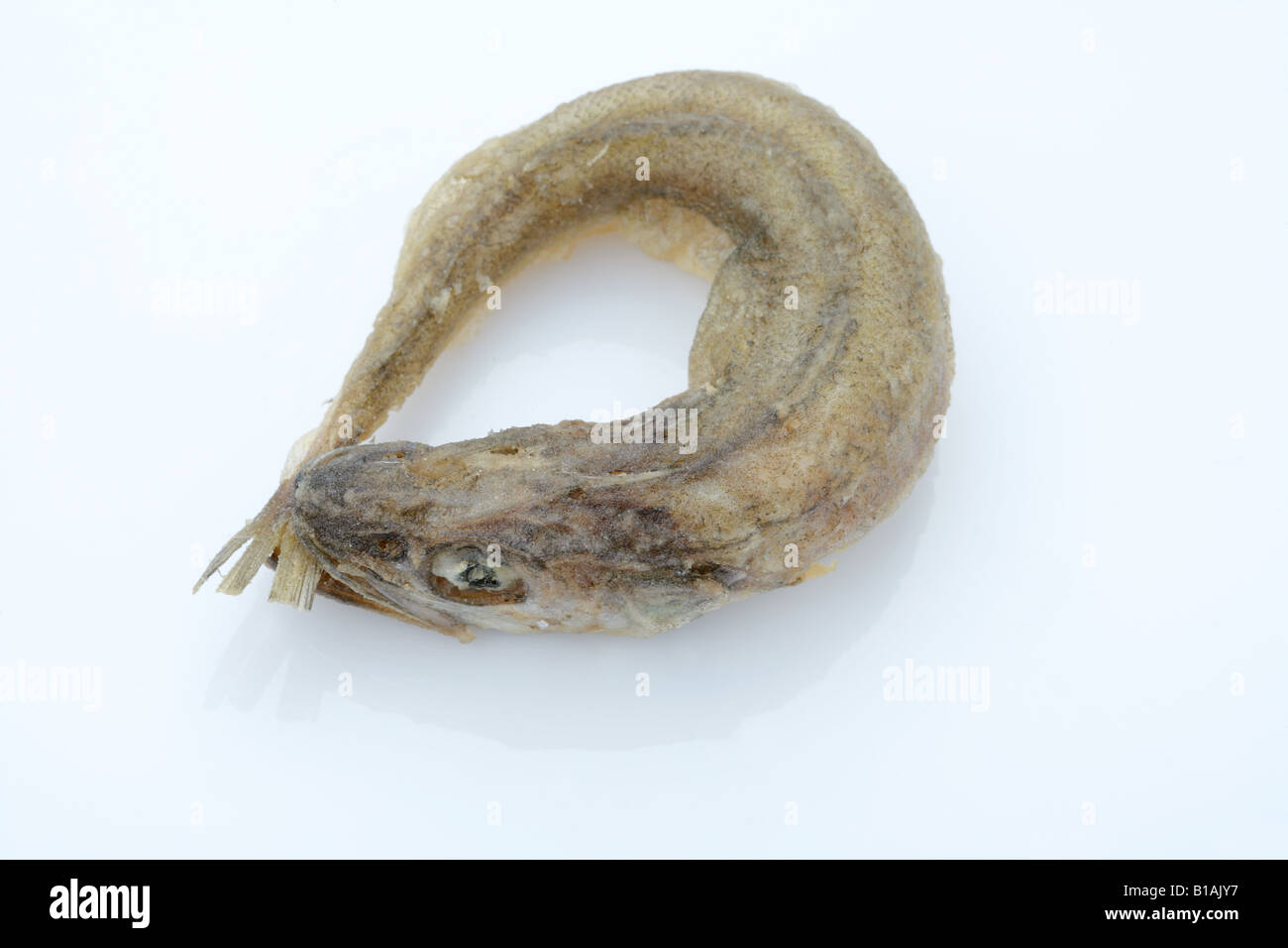 A fried hake Stock Photo - Alamy